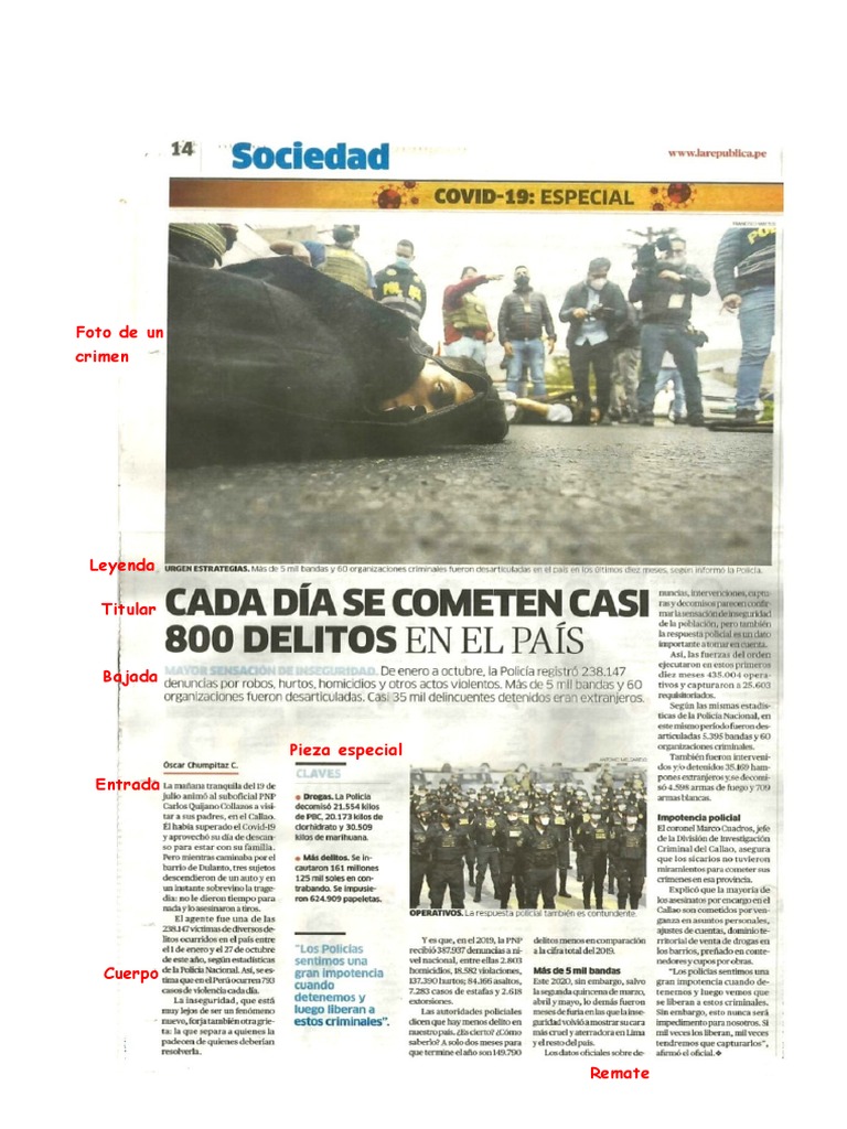 Estructura Del Reportaje | PDF