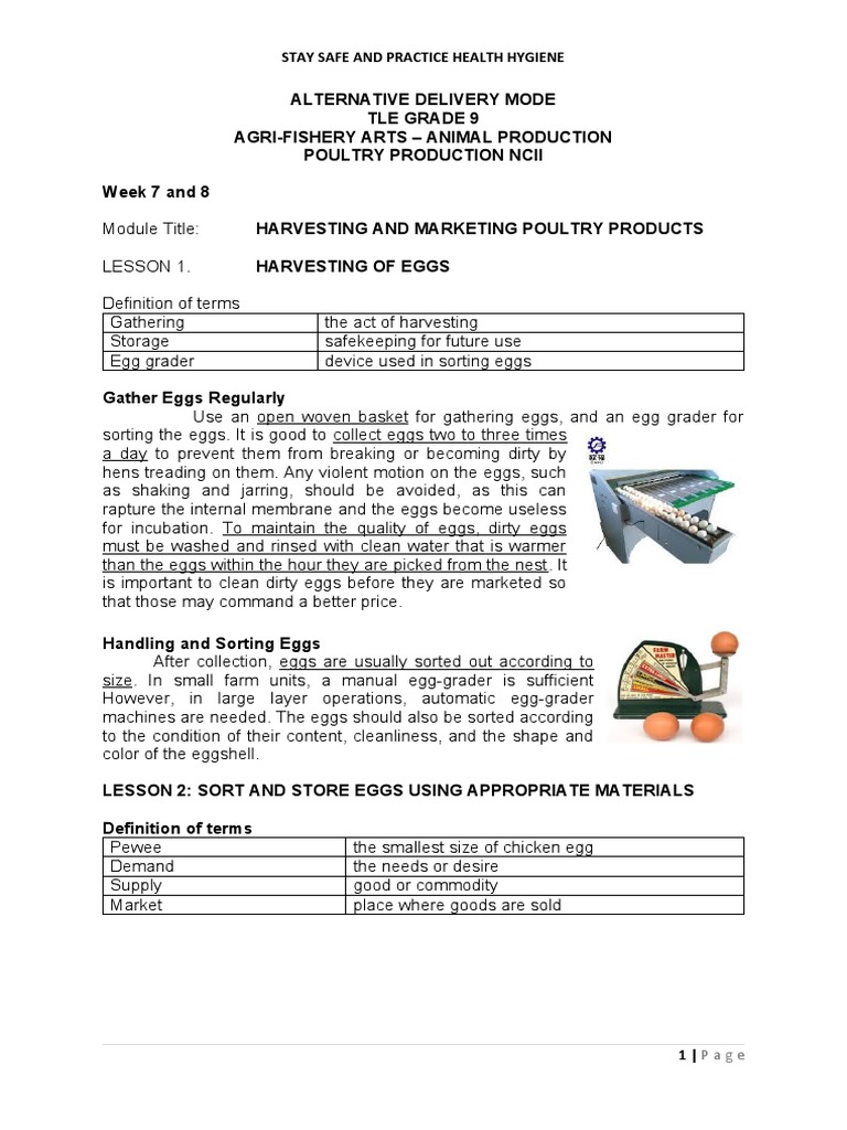 Adm Tle Poultry WK8 | PDF | Chicken | Egg As Food