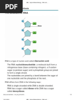 Lesson Plan Grade 10 Mutation | PDF | Genetic Code | Gene