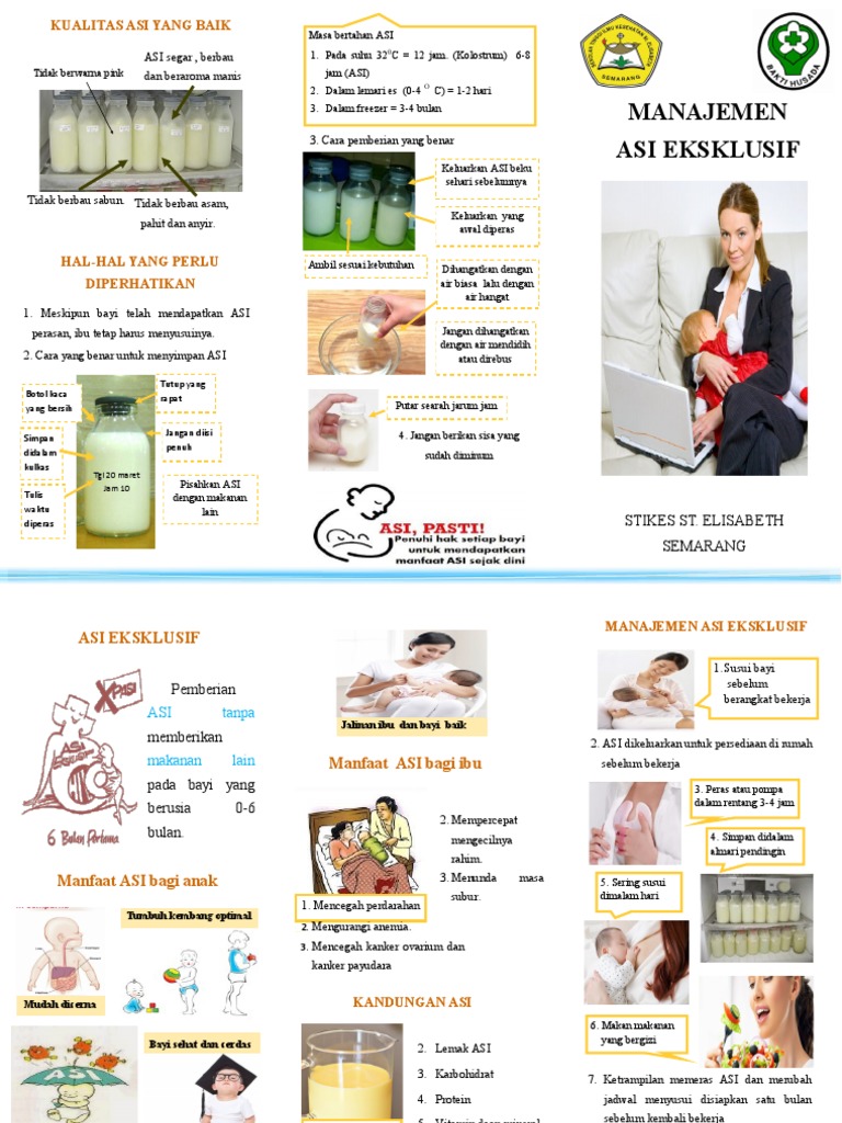 Leaflet Asi Eksklusif | PDF