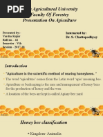 Beekeeping Training Manual | PDF | Honey Bee | Beehive