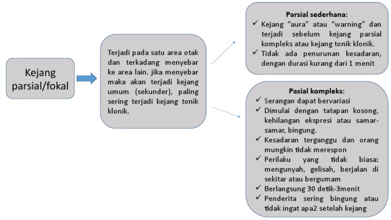Jenis Kejang: Fokal dan Umum | PDF