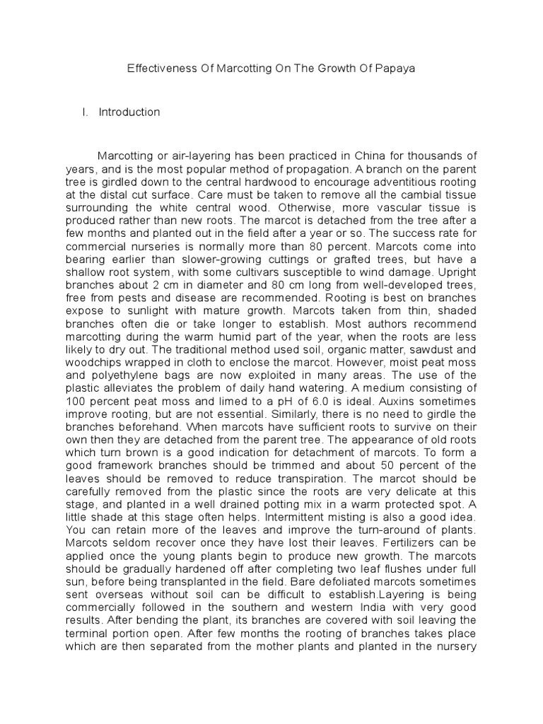 Effectiveness of Marcotting | PDF | Root | Trees