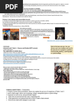 IA2 Visual Art Submission Template | PDF