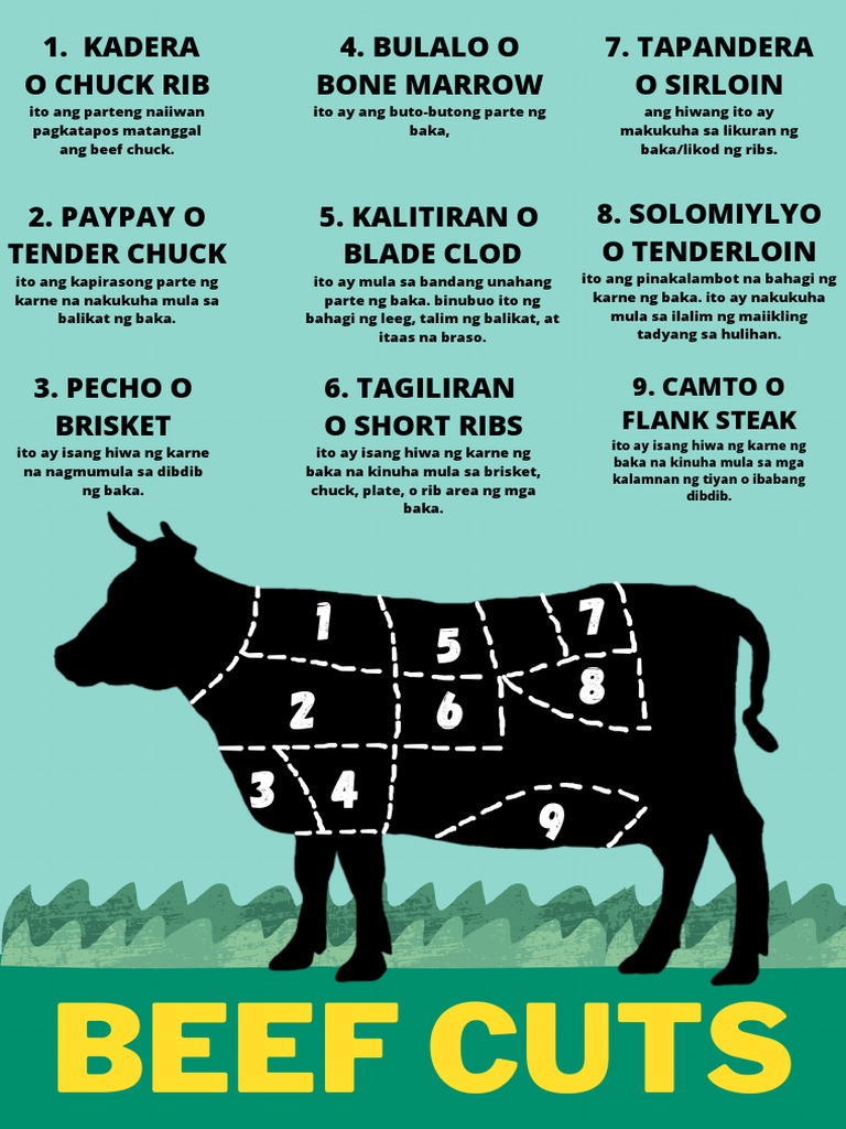 Beef Cuts | PDF