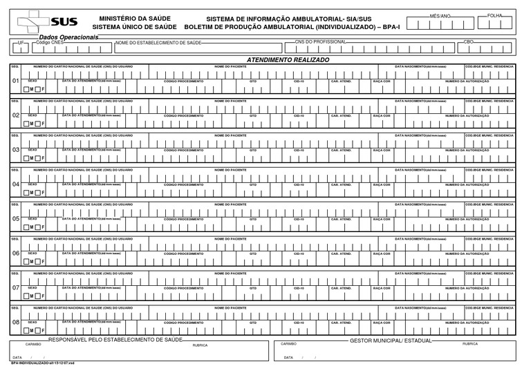Bpa-Individualizado 15122007 | PDF