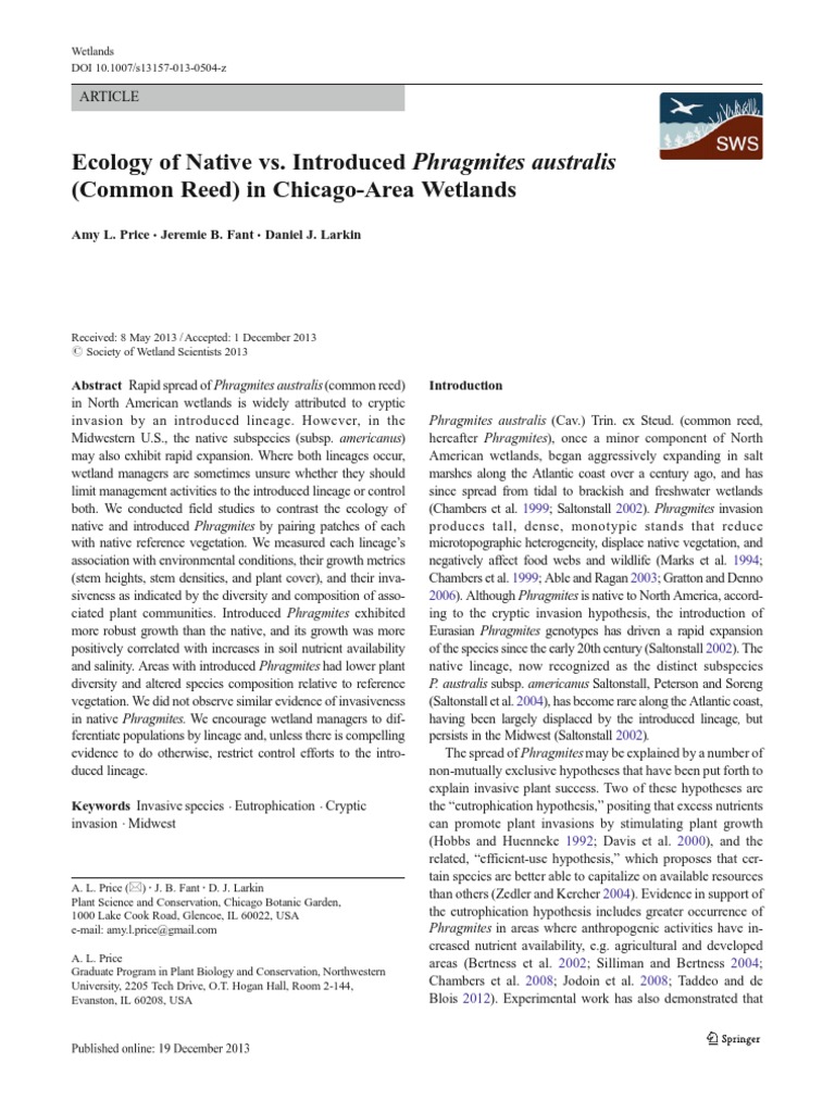Ecology of Native vs. Introduced Phragmites Australis (Common Reed) in ...