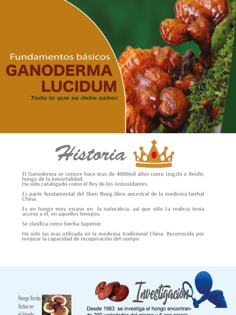 Folleto Ganoderma | PDF | Sangre | Cáncer