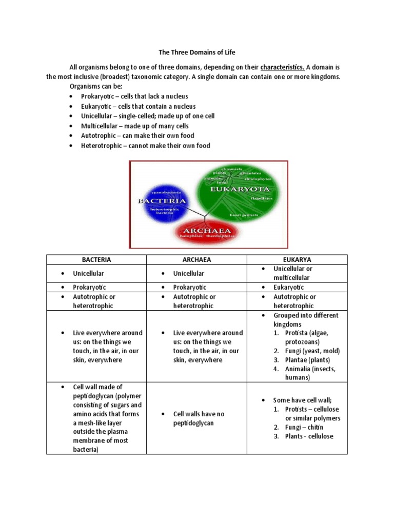 The Three Domains of Life | PDF | Cell (Biology) | Cell Wall