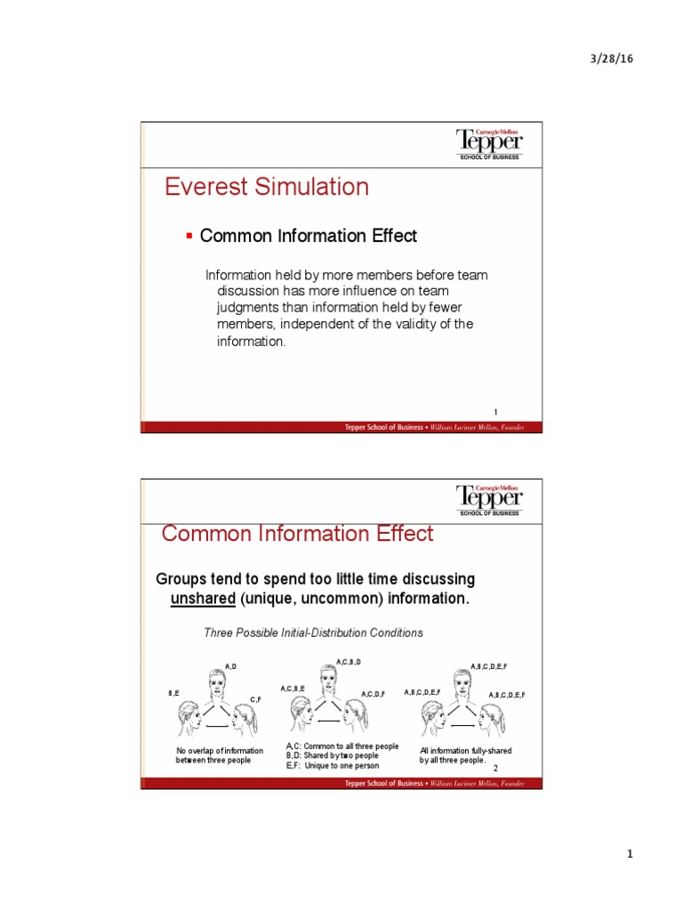 Everest Simulation: Common Information Effect | PDF | Bias | Affect ...