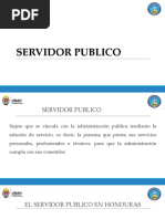 Clasificación de Los Servidores Públicos | PDF