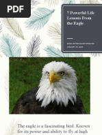 The Eagle Mentality | PDF | Mindset | Wisdom
