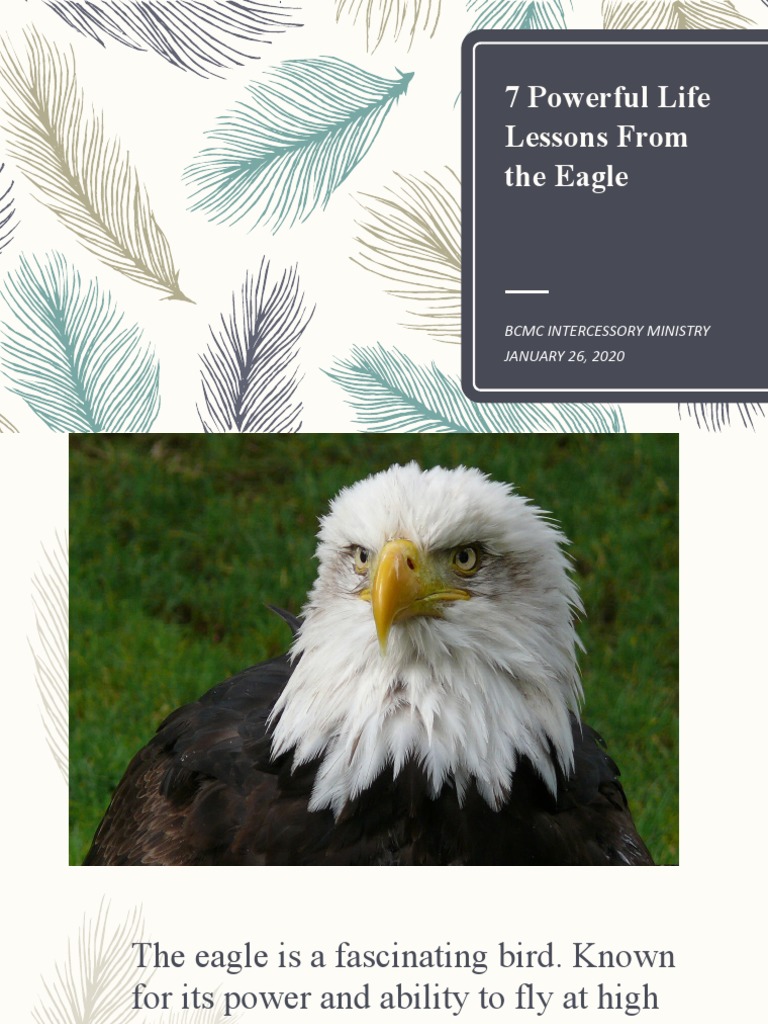 7 Powerful Life Lessons From The Eagle | PDF
