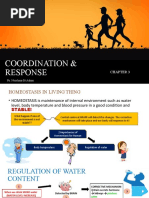 Chest X-Ray Template | PDF | Lung | Thorax