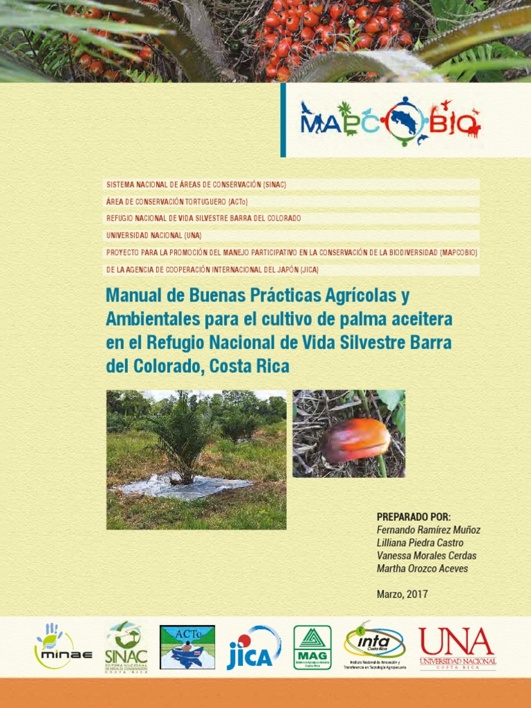 Manual de Buenas Practicas Agricolas y A | PDF | Suelo | Agricultura