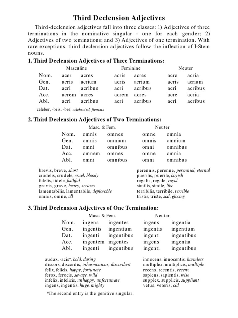 Latin Adjective Declensions Guide | PDF | Grammatical Gender ...