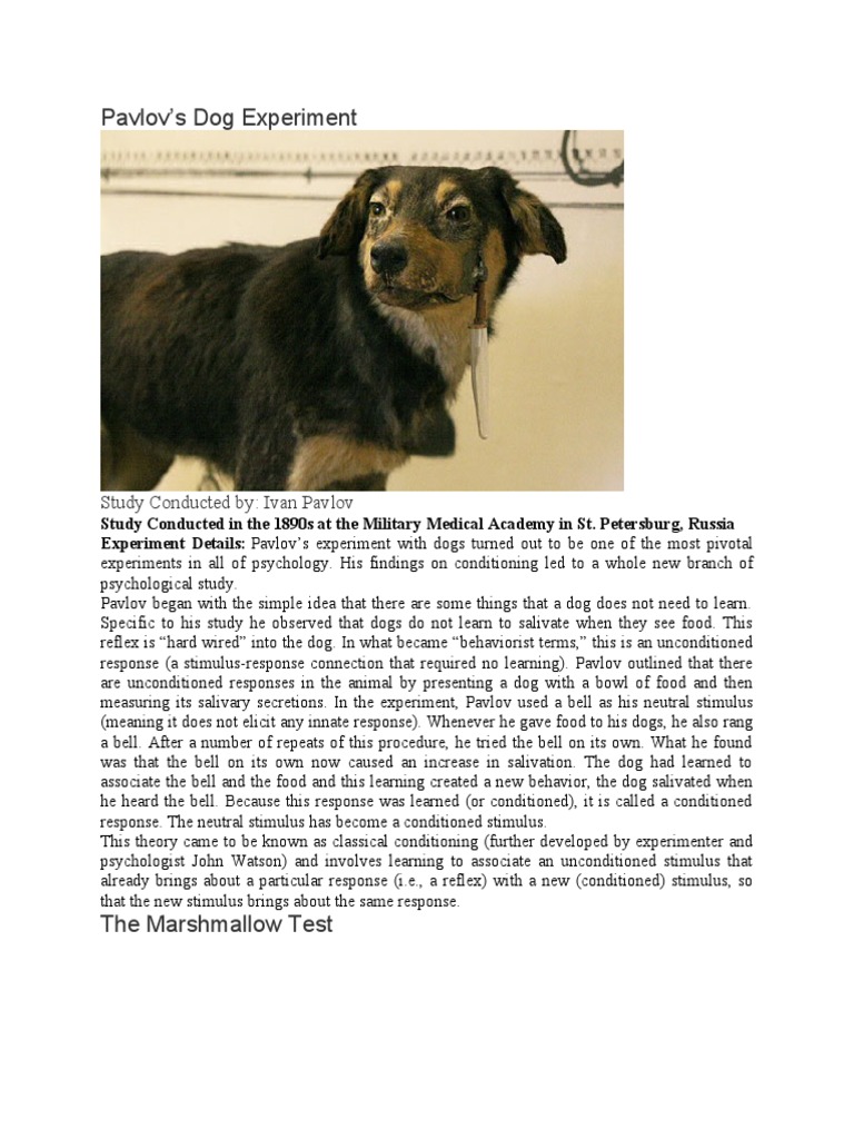 Pavlov's Dog Experiment: Study Conducted By: Ivan Pavlov | PDF ...