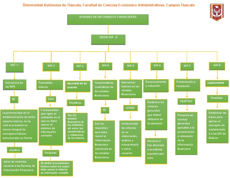 Mapa Conceptual de Las Nif | PDF | Contabilidad | Cognición
