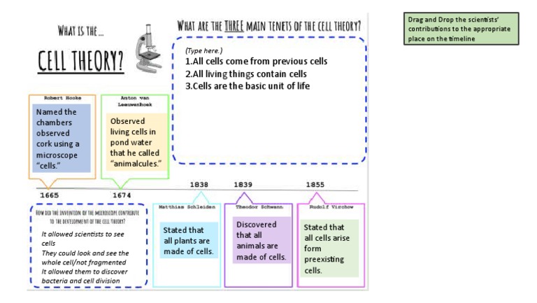Cell Theory Graphic Organizer