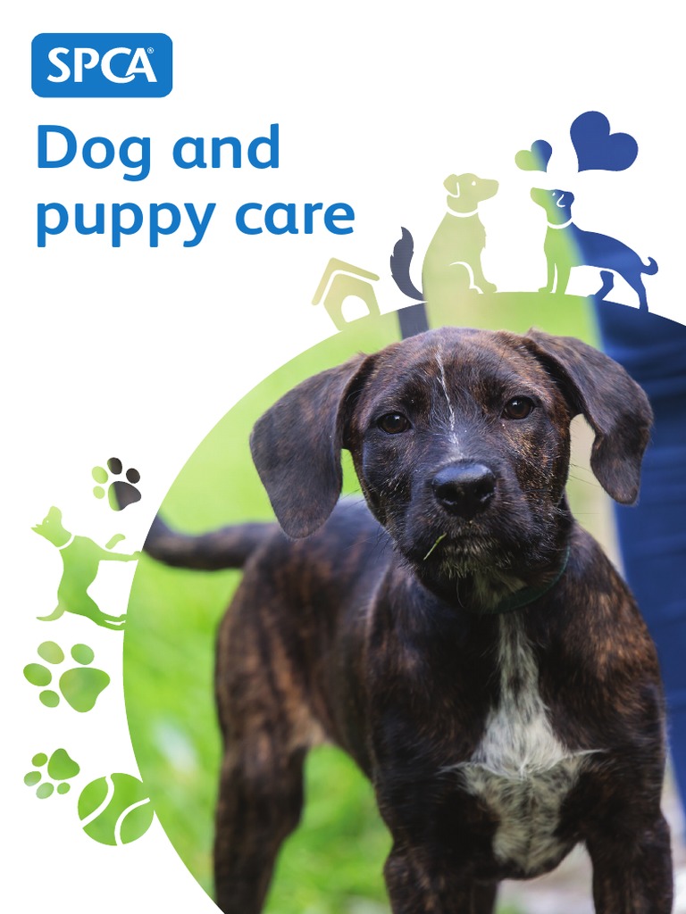 Dog Care Brochure National Web | PDF | Dogs | Animals And Humans