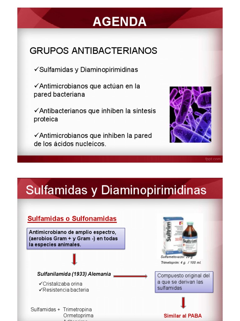 Sulfamidas y Diaminopirimidinas W | PDF | Farmacología | Especialidades ...