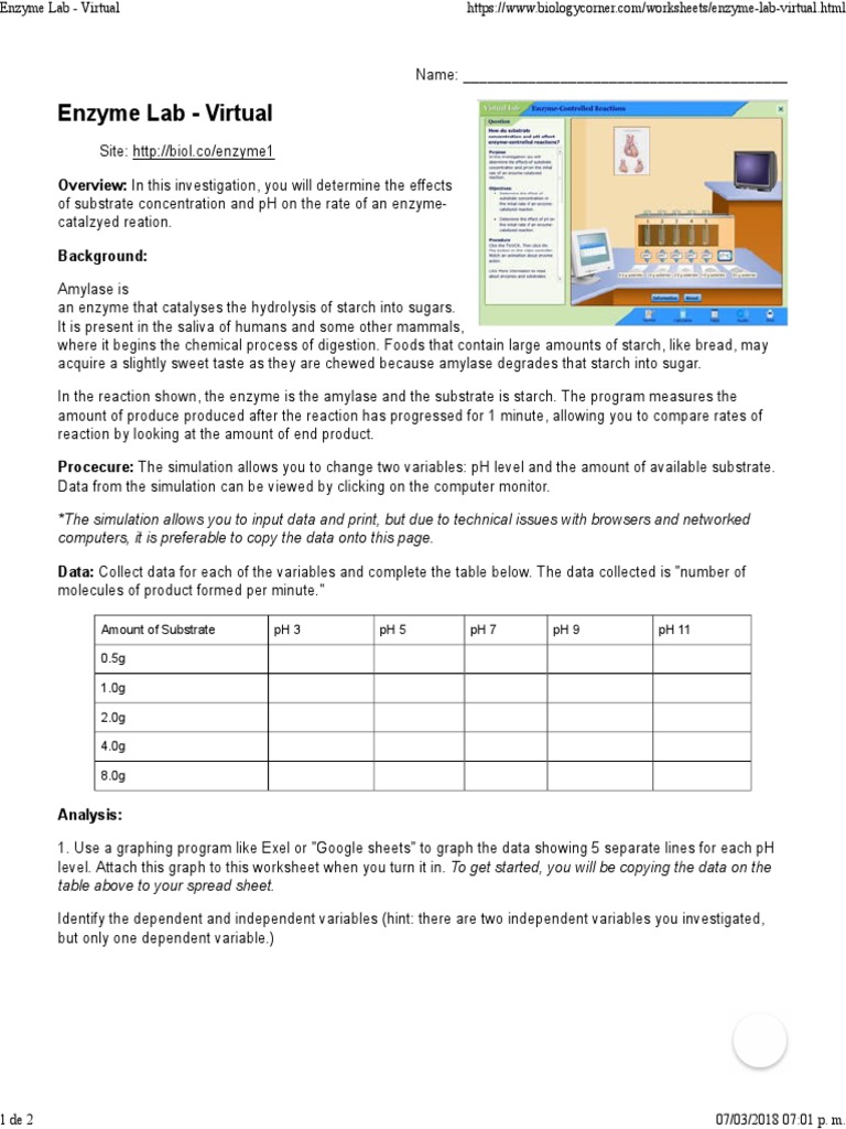 Enzime Virtual Lab | Download Free PDF | Enzyme | Physical Sciences
