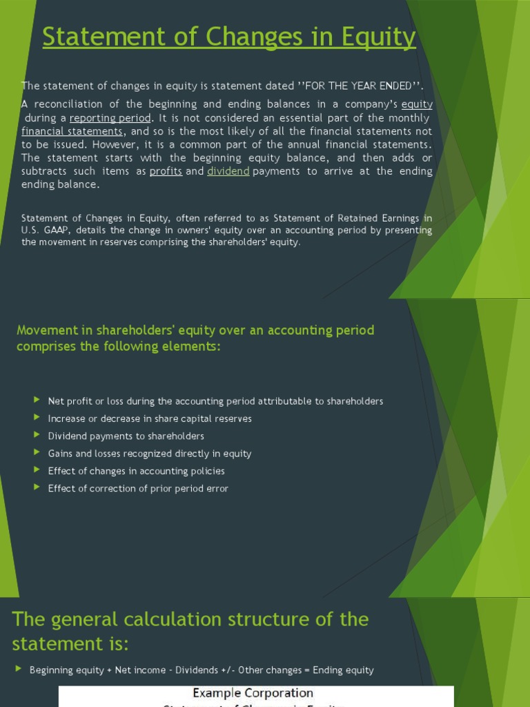 CHAPTER 3 Statement of Changes in Equity | PDF