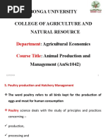 Commercial Layers Production Guide | PDF | Chicken | Poultry Farming