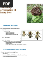 Beekeeping Training Manual | PDF | Honey Bee | Beehive