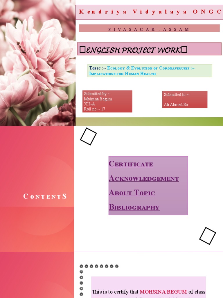 English Project On Coronavirus | PDF | Virus | Tree Of Life (Biology)