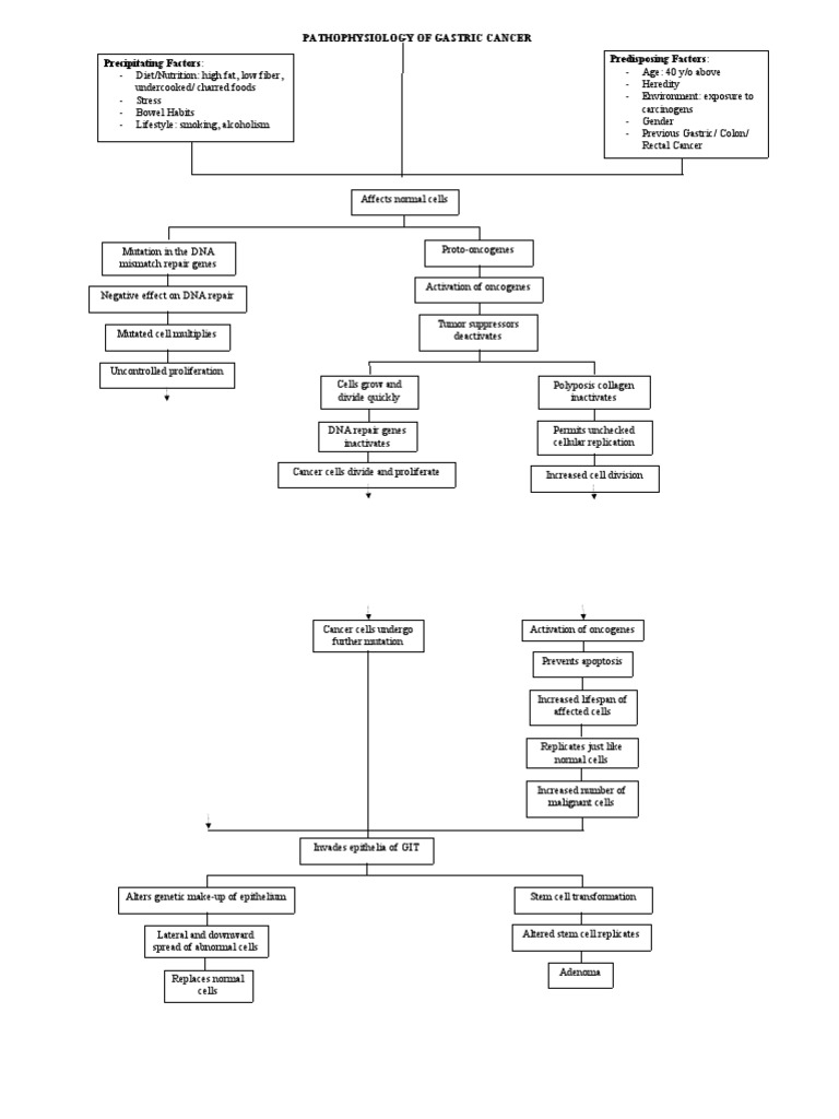 Pathophysiology of Gastric Cancer | PDF | Colorectal Cancer | Neoplasms
