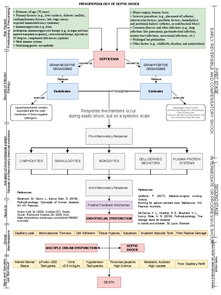 Sepsis Pathophysiology Nursing