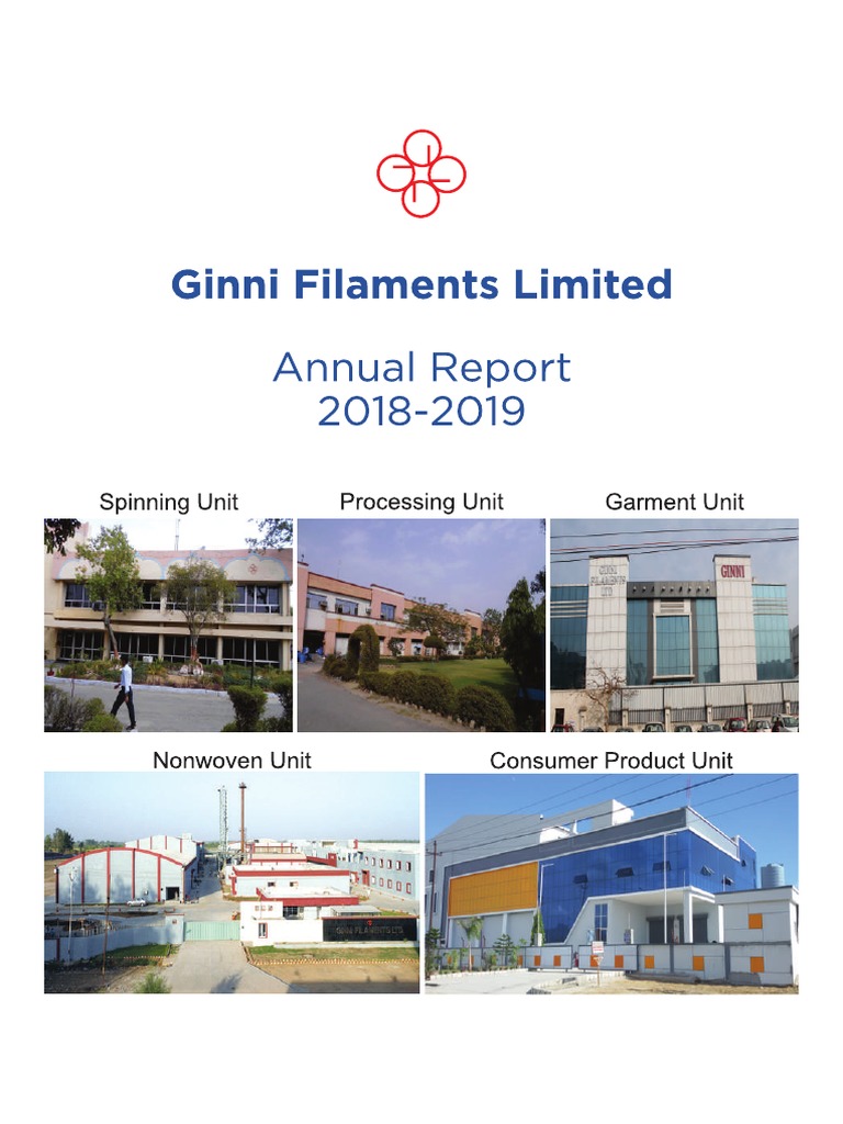 Ginni Filaments 2018-19 | PDF | Corporations | Companies