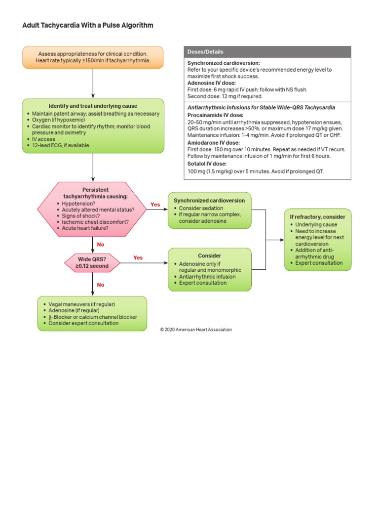Adult Tachycardia With A Pulse Algorithm: Doses/Details | PDF | Heart ...