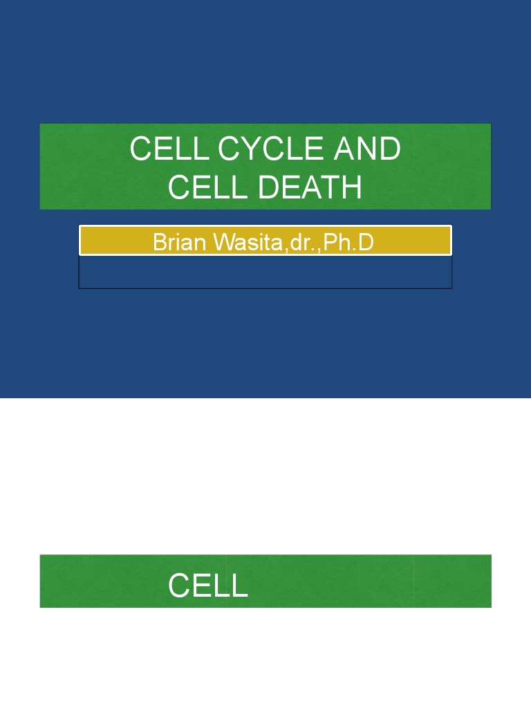 Cell Cycle and Cell Death | PDF | Mitosis | Cell Cycle