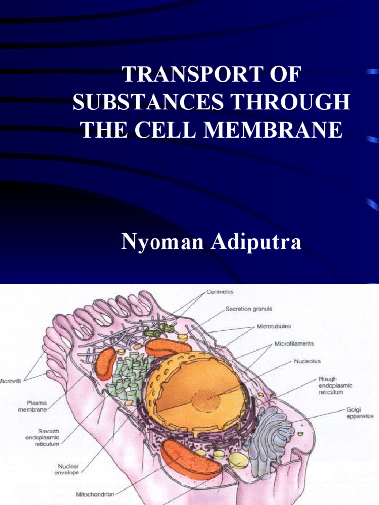 Lecture 1 THE CELL MEMBRANE | PDF