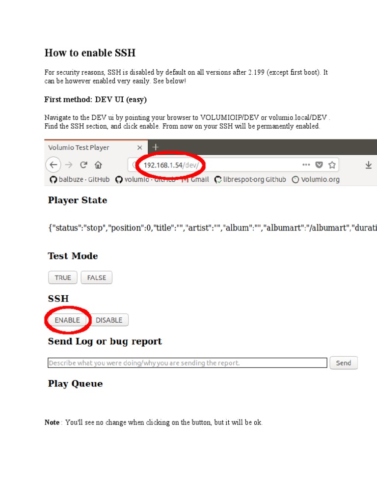 How To Enable SSH: First Method: DEV UI (Easy) | PDF | Home & Garden ...