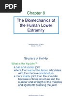 Kinesiology Flashcards, 3E - Lippert, Lynn S., Minor, Mary Alice ...