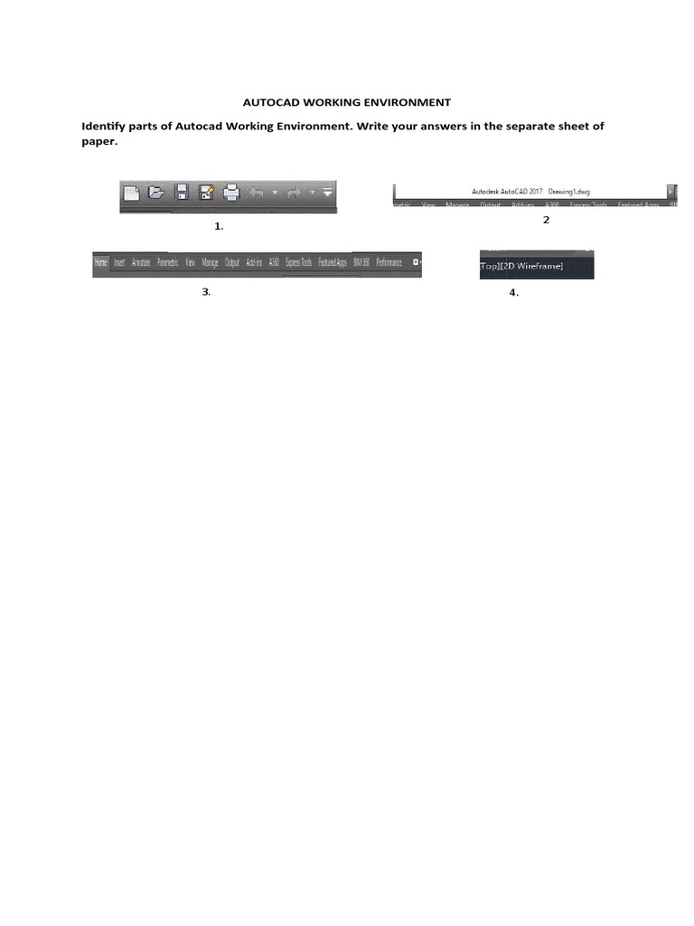 Autocad Working Environment Worksheet | PDF