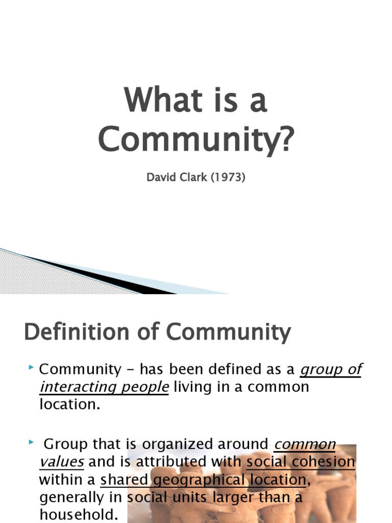 What Is A Community David Clark | PDF | Community | Social Structure