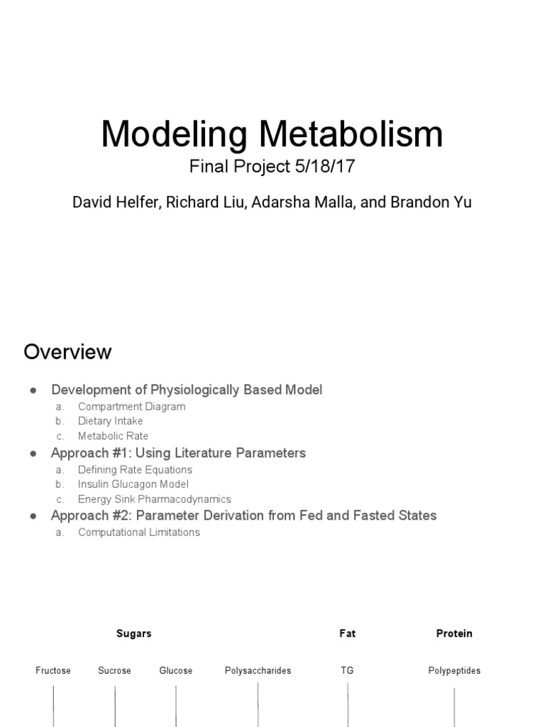 Final Project Model | PDF