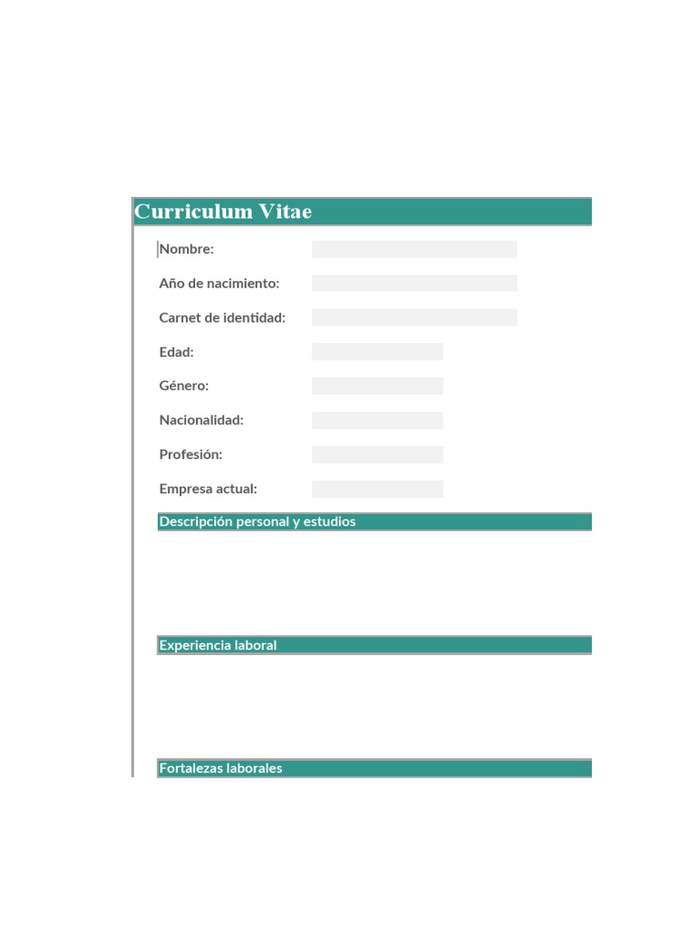 Plantilla Excel Curriculum Vitae | PDF