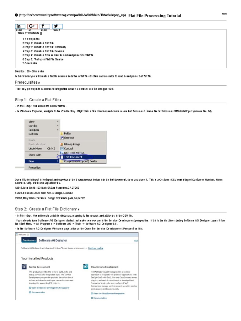Flat File Processing Tutorial | PDF | Xml Schema | Computer File