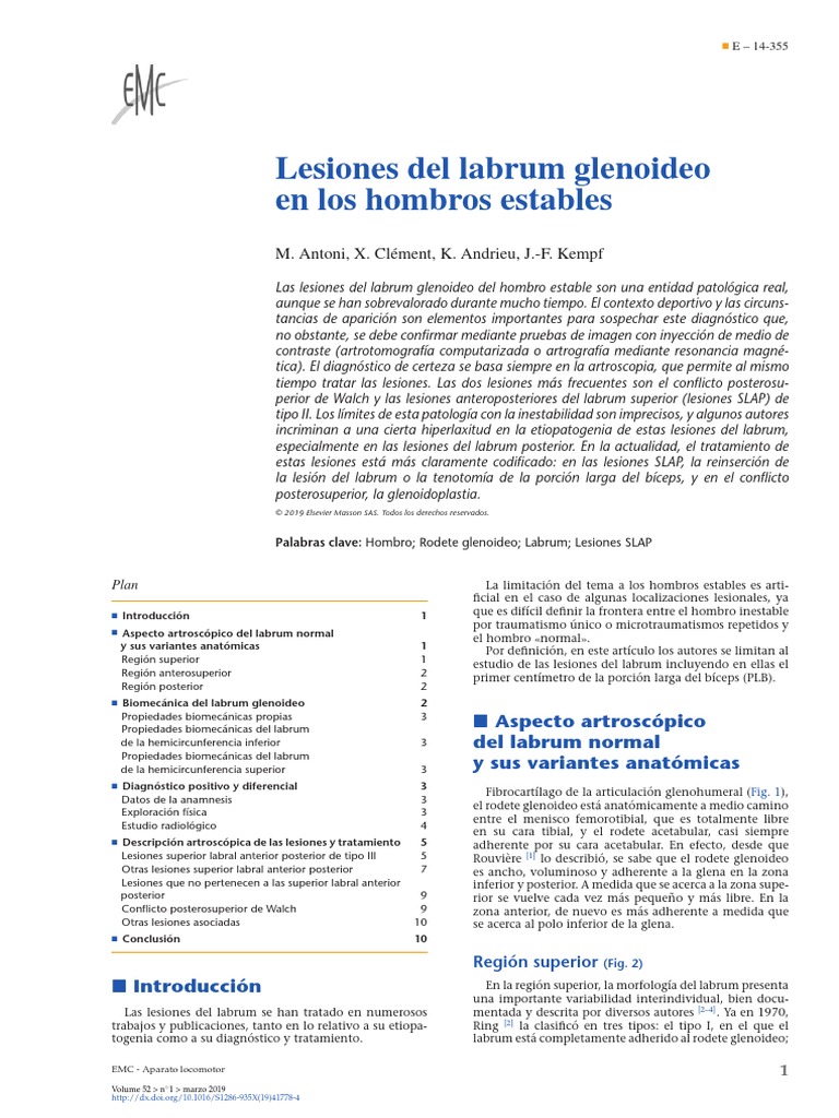 Lesiones Del Labrum Glenoideo en Hombro Estable | PDF | Hombro ...