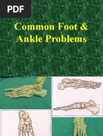 Podiatry Terms Glossary | PDF | Toe | Foot