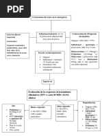 Mapa Conceptual Asma | PDF | Asma | Tos