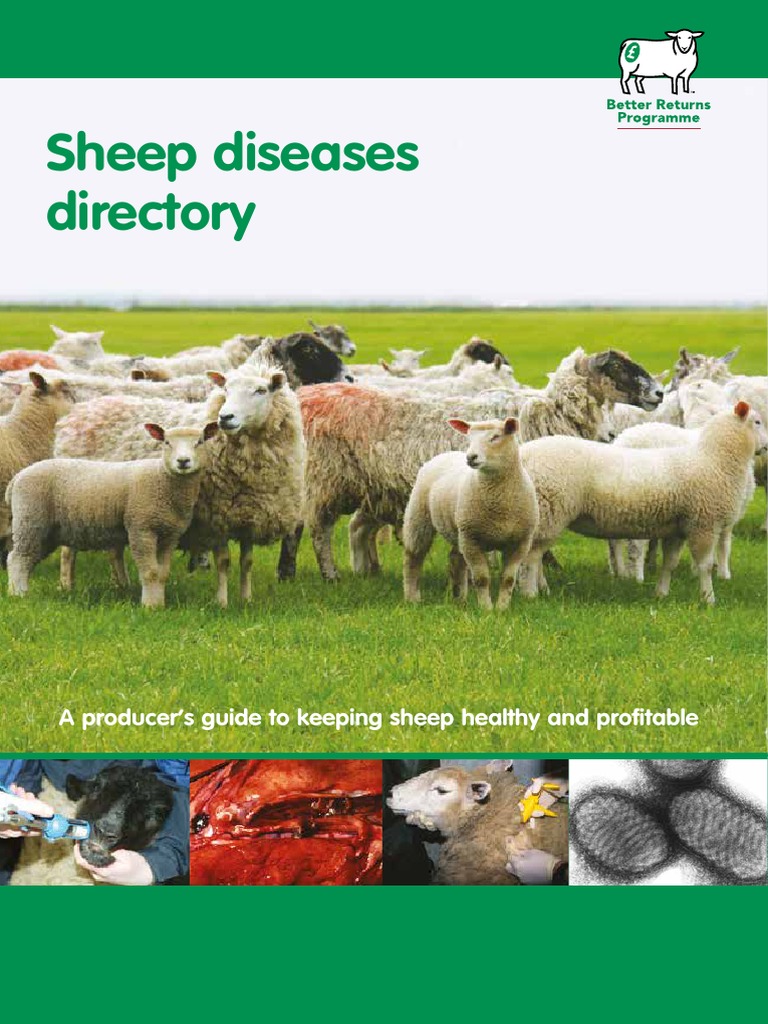 BRP Sheep Disease Directory 190116 | PDF | Sheep | Infection