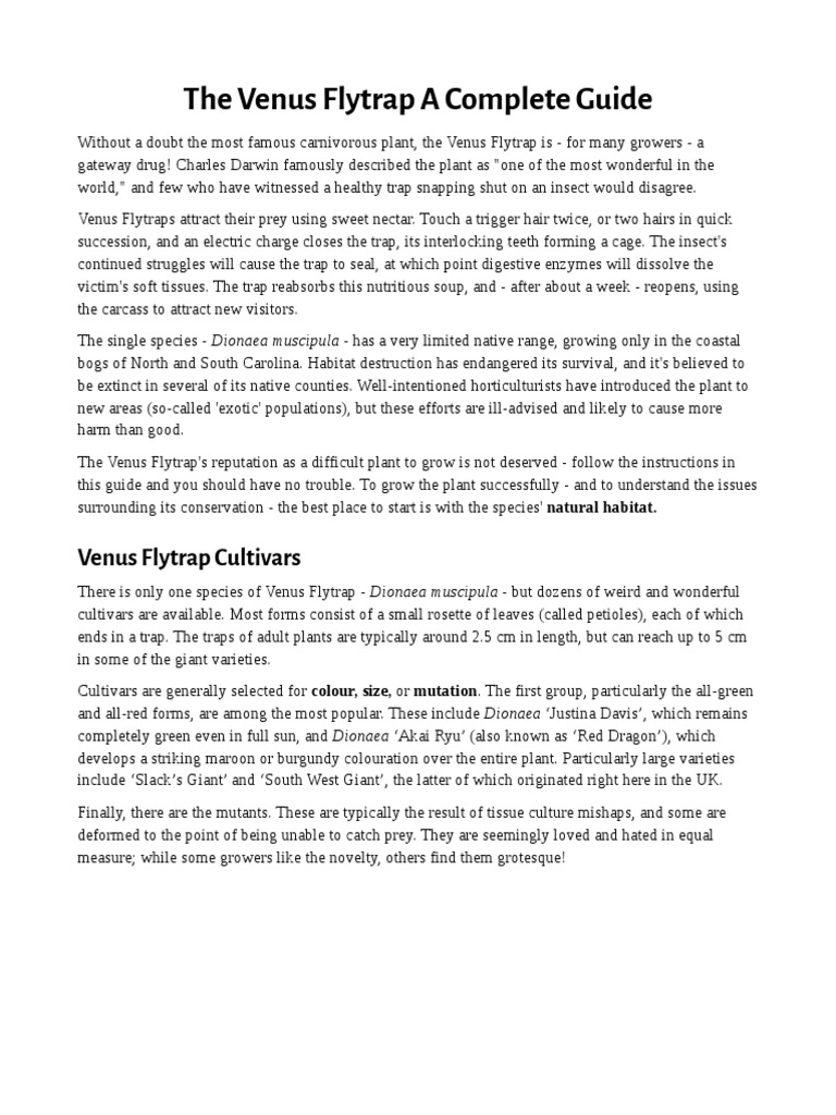 Venus Flytrap | PDF | Horticulture And Gardening | Botany