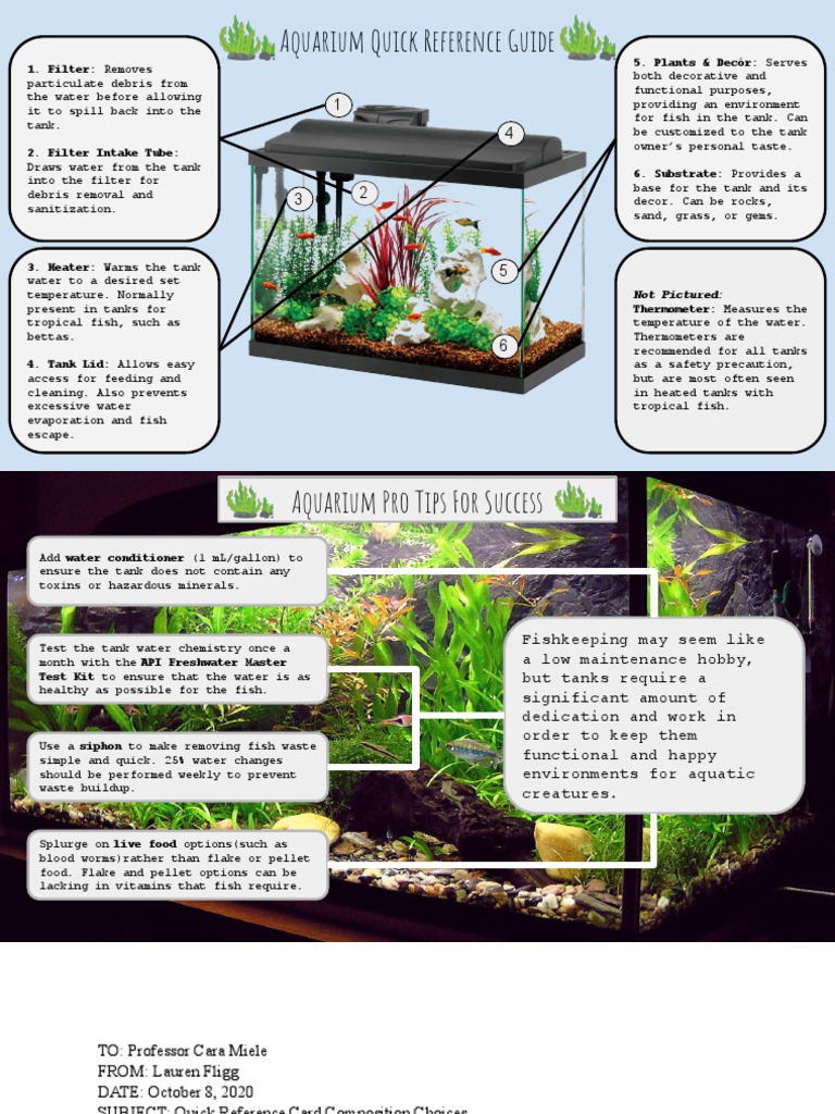 Aquarium Quick Reference Guide: Not Pictured | PDF | Aquarium | Fishkeeping