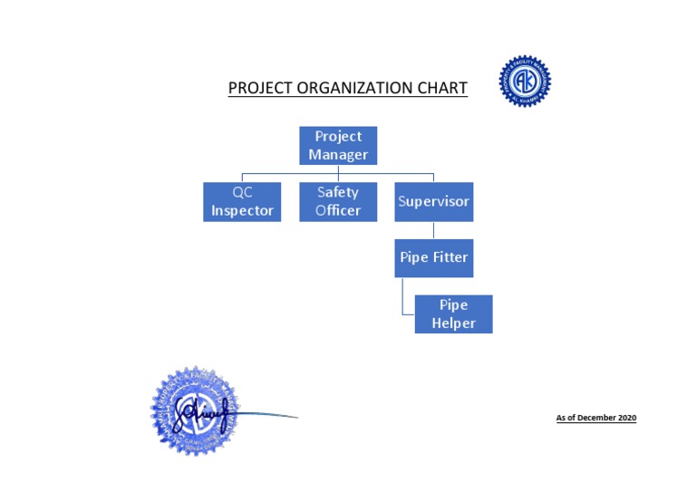 Project Organization Chart 2020 | PDF